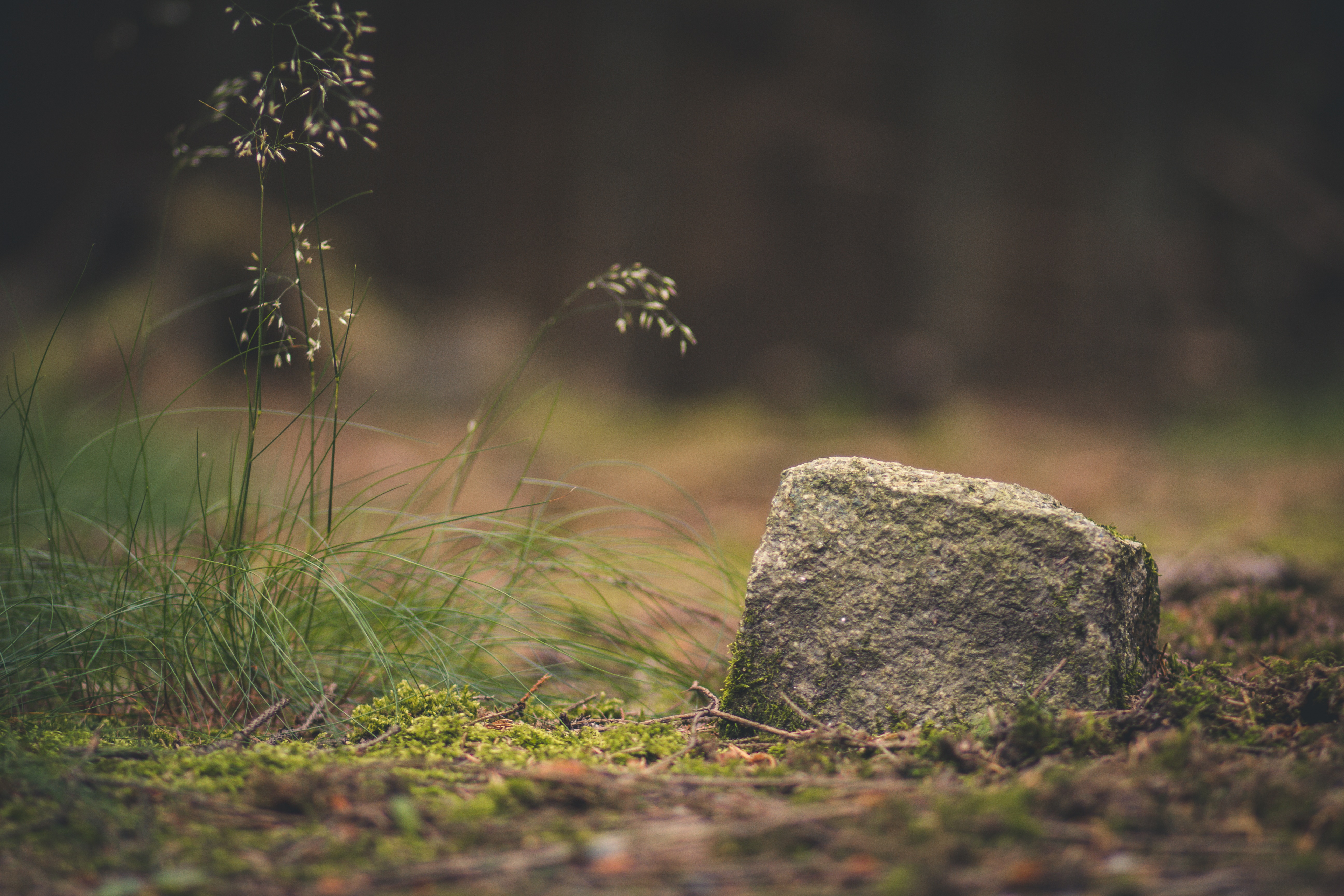 Why is Jesus Christ the Cornerstone? Peter’s Use of the Rejected Stone ...